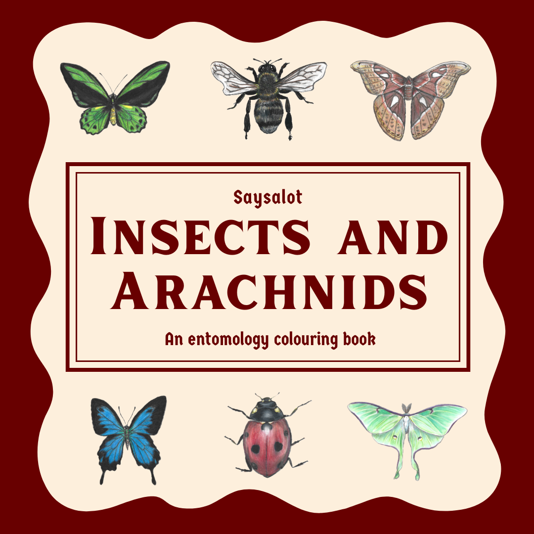 Insects and Arachnids: An Entomology Colouring Book – Saysalot